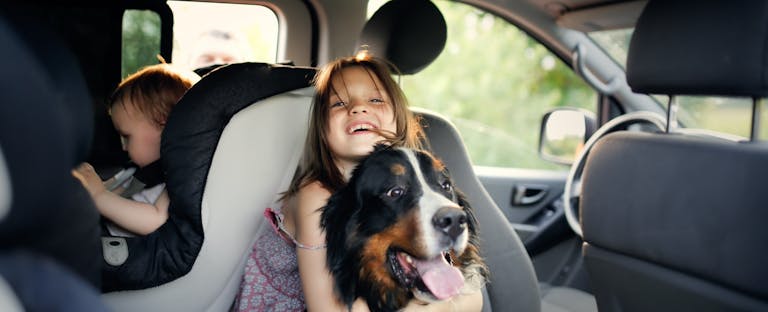 Selective Car Insurance Review | Intuit Credit Karma